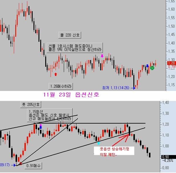 백리향의 시장읽기 11월23일 가두리흐름 213은 지지선 선옵전문가분석 선물옵션 팍스넷 증권포털
